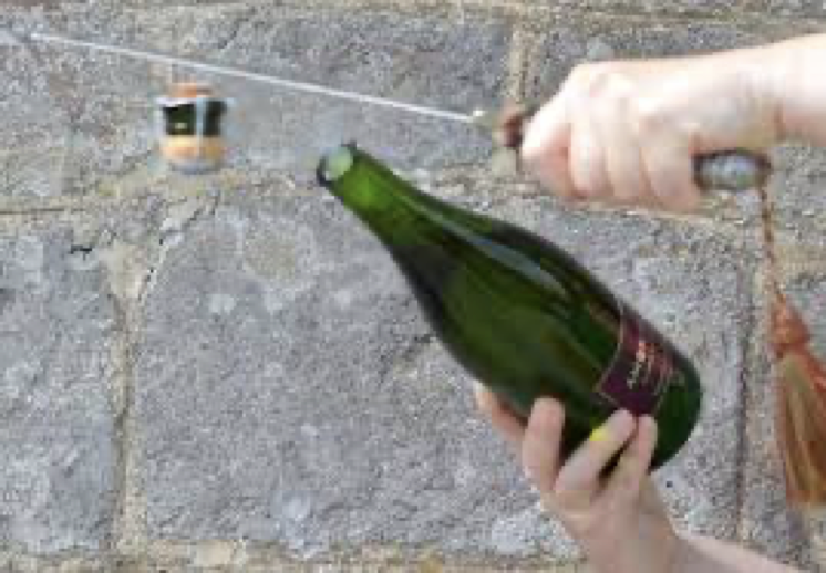 A Special Guest Comes To The Cellar – Jim's Affordable Cellar